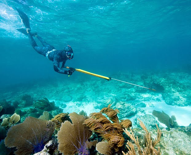 Pattaya Yacht Charters - Activities - Spearfishing